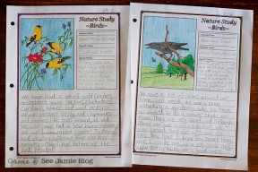 Nature Notebooking Pages – See Jamie blog.